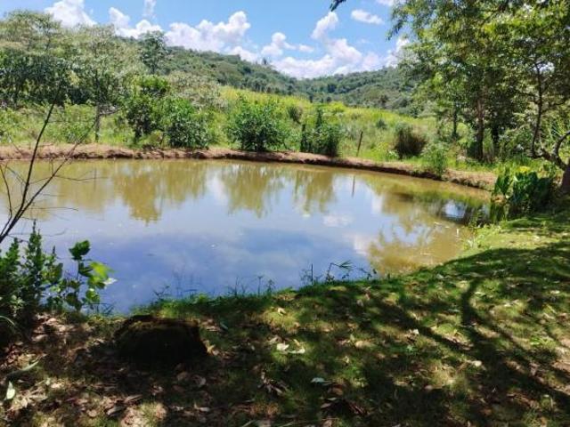 Sítio para Venda em Mococa, RURAL, 3 dormitórios, 1 suíte, 3 banheiros, 10 vagas