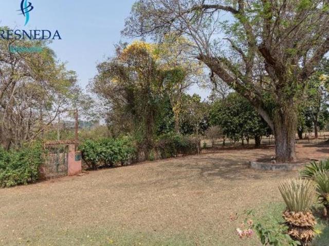 Sítio para venda em Mogi Mirim