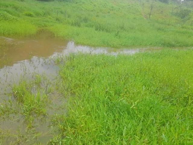 Sítio para Venda em Monte Santo de Minas, RURAL