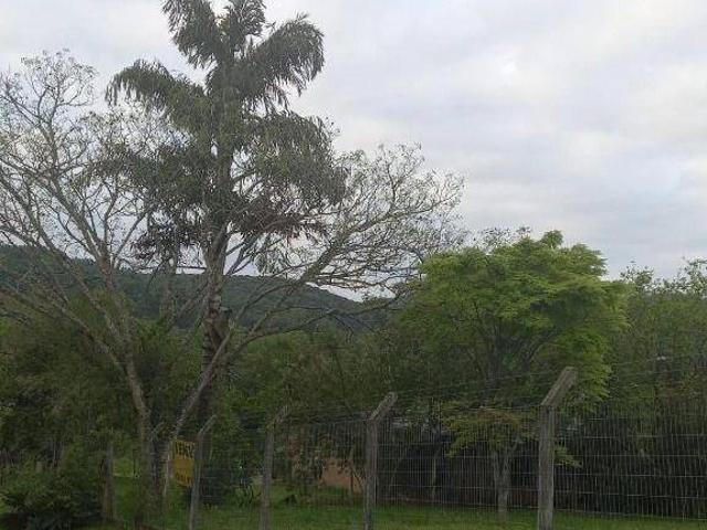 Sítio para venda em Morungava, Gravataí