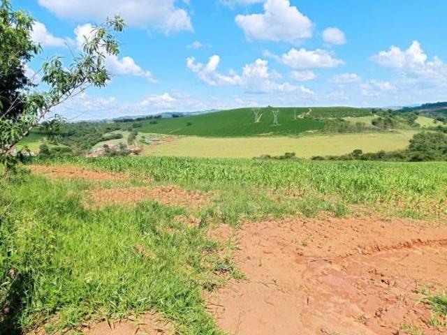 Sítio para venda em Nepomuceno