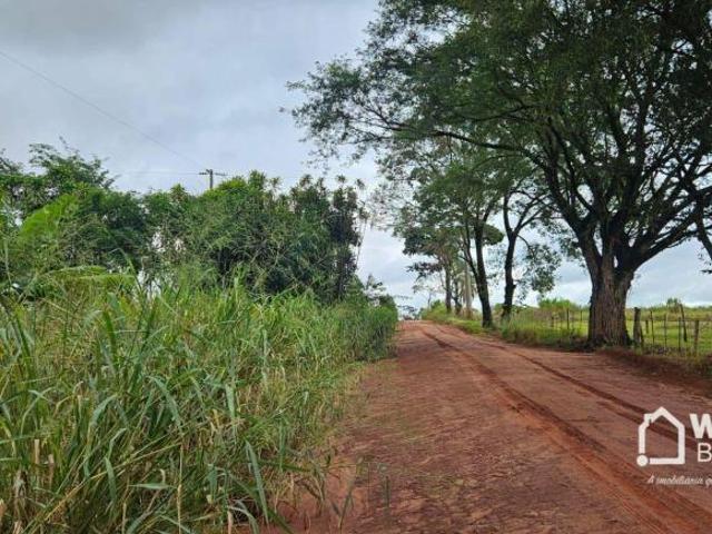Sítio para venda em Nova Esperança