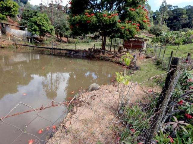 Sítio para Venda em Nova União