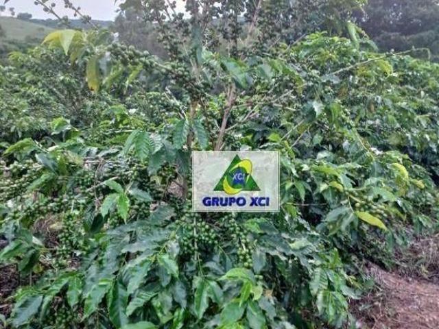 Sítio para venda em Ouro Fino