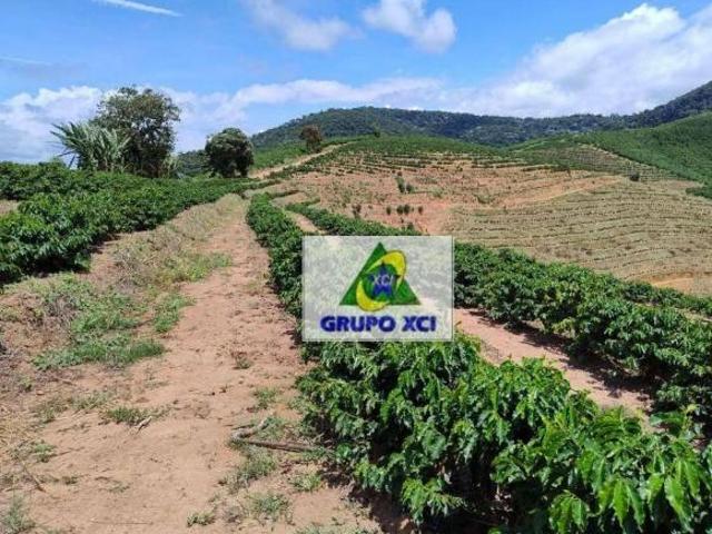 Sítio para venda em Ouro Fino