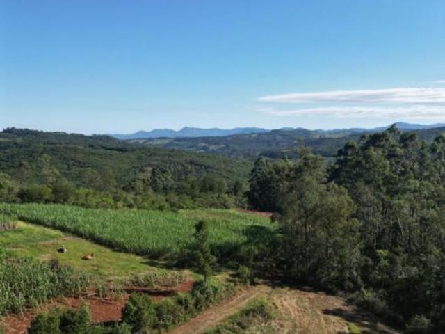Sítio para Venda em Osório, Borrusia