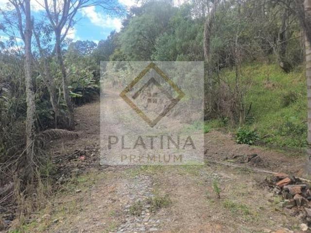 Sítio para Venda em Andradas, Farinha, 3 dormitórios, 1 banheiro, 1 vaga
