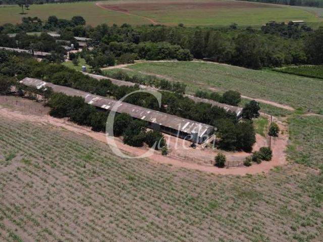 Sítio para venda em Área Rural de Casa Branca, Casa Branca