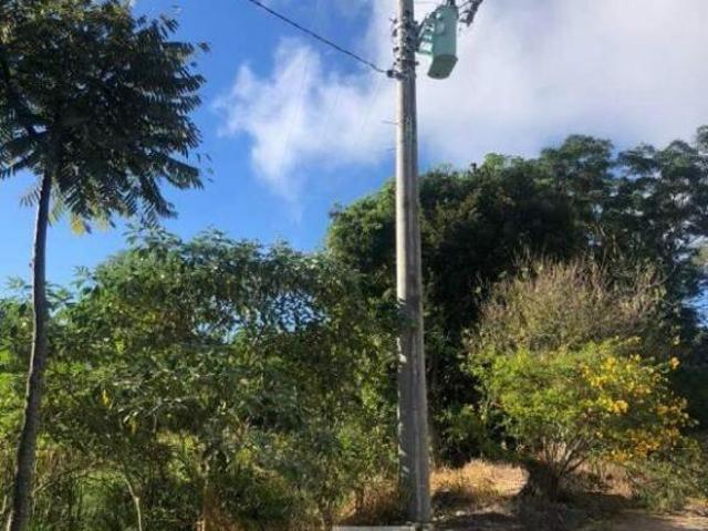 Sítio para venda em Área Rural de Amparo, Amparo