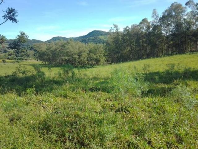 Sítio para venda em Área Rural De Andradas, Andradas