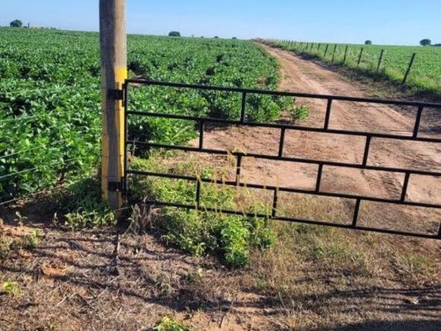 Sítio para venda em Área Rural de Araçatuba, Araçatuba