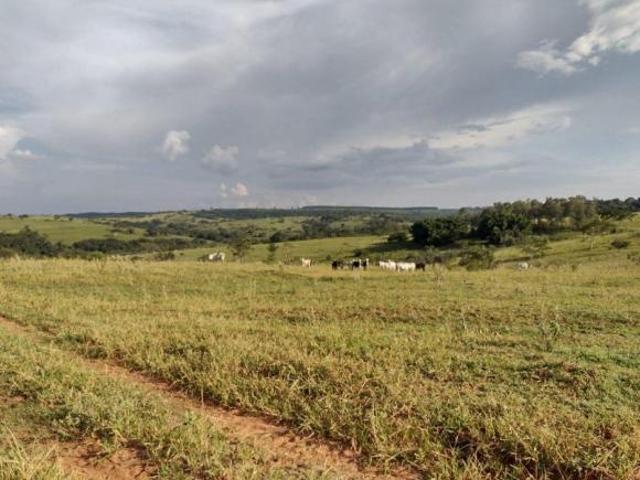 Sítio para venda em Área Rural de Avaí, Avaí