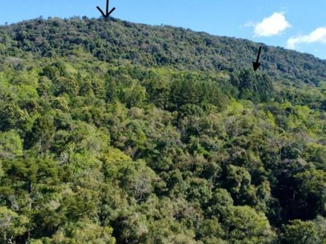 Sítio para venda em Área Rural de Gramado, Gramado