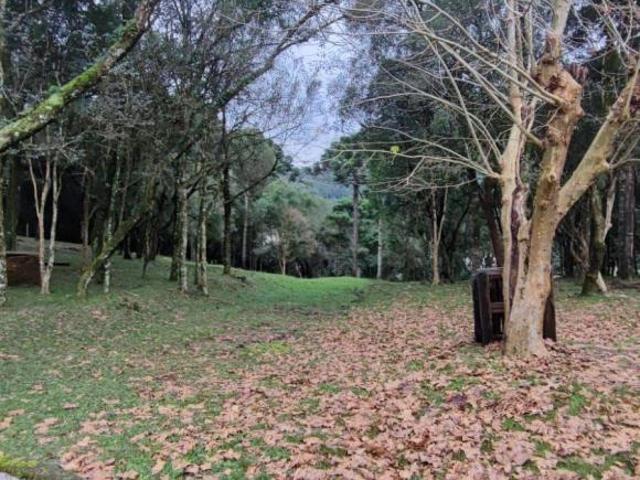 Sítio para venda em Área Rural de Farroupilha, Farroupilha