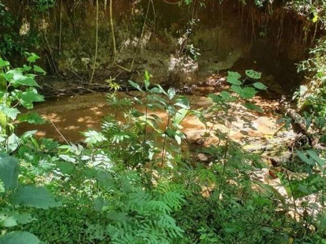 Sítio para venda em Área Rural de Itapeva, Itapeva