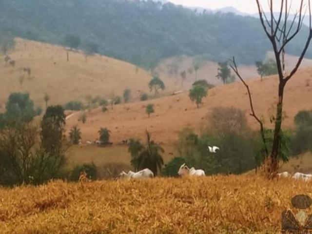 Sítio para venda em Área Rural de Sete Lagoas, Sete Lagoas