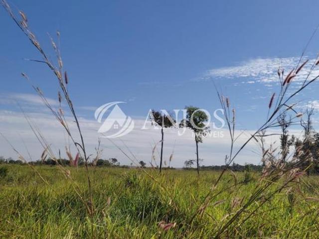 Sítio para venda em Área Rural de Sinop, Sinop
