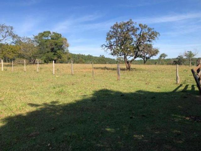 Sítio para venda em Área Rural de Paulistânia, Paulistânia