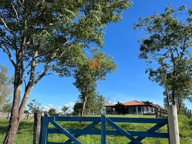 Sítio para venda em Área Rural de Pereiras, Pereiras