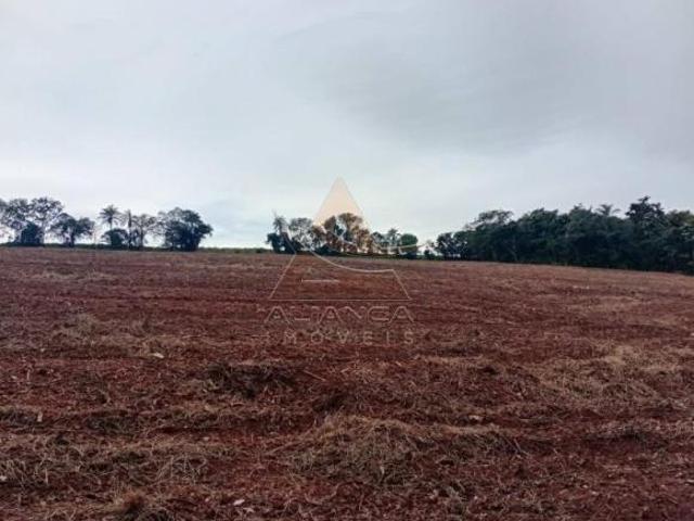 Sítio para venda em Área Rural de Tambaú, Tambaú