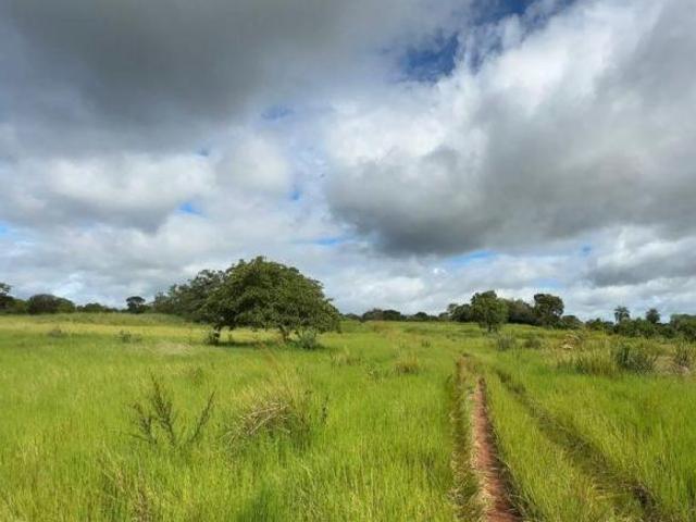 Sítio para venda em Área Rural de Várzea Grande, Várzea Gran