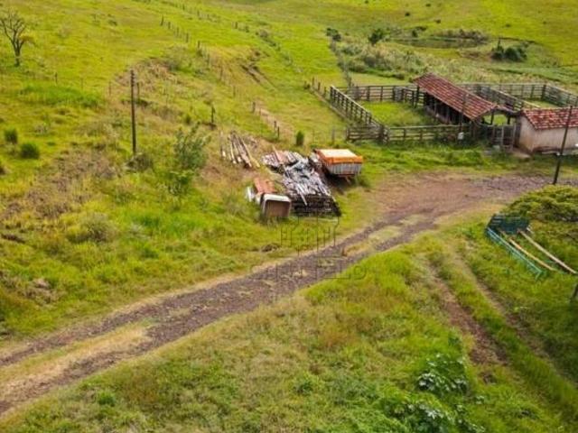 Sítio para venda em Assaí