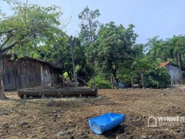 Sítio para venda em Assaí