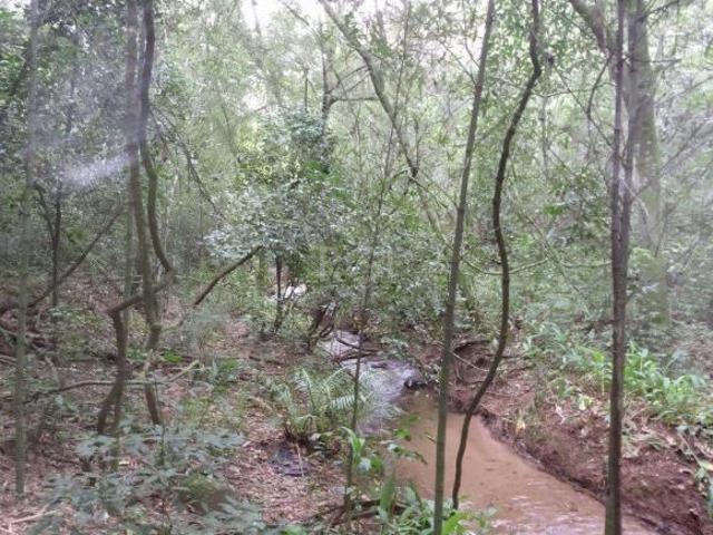 Sítio para venda em Belém Velho, Porto Alegre