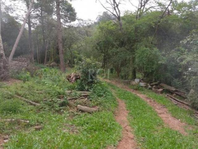 Sítio para venda em Belém Velho, Porto Alegre