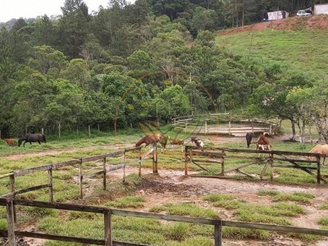Sítio para venda em Biritiba Ussu, Mogi das Cruzes