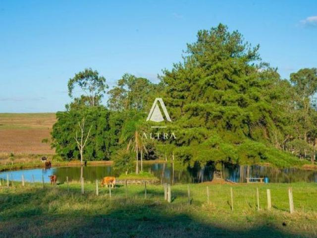 Sítio para venda em Boca do Monte, Santa Maria