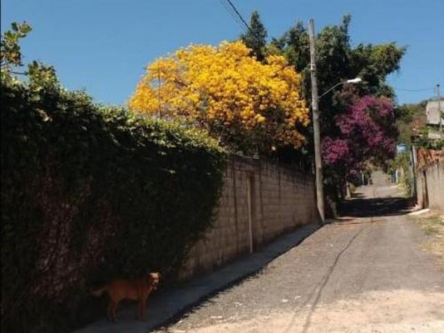 Sítio para venda em Bom Destino, Santa Luzia