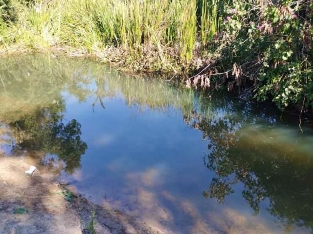 Sítio para Venda em Cajuru, RURAL