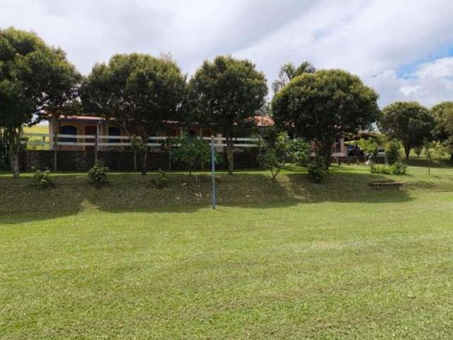Sítio para Venda em Cajuru, RURAL