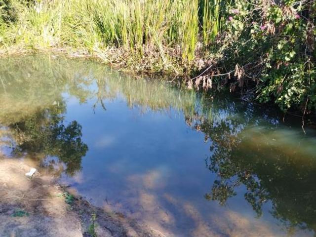 Sítio para Venda em Cajuru, RURAL