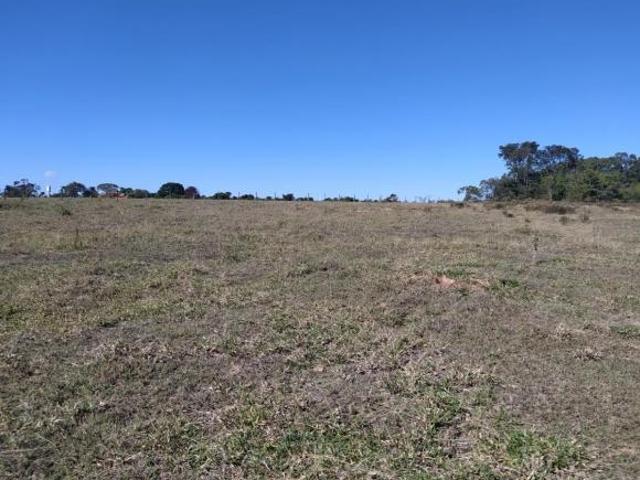 Sítio para Venda em Cajuru, RURAL