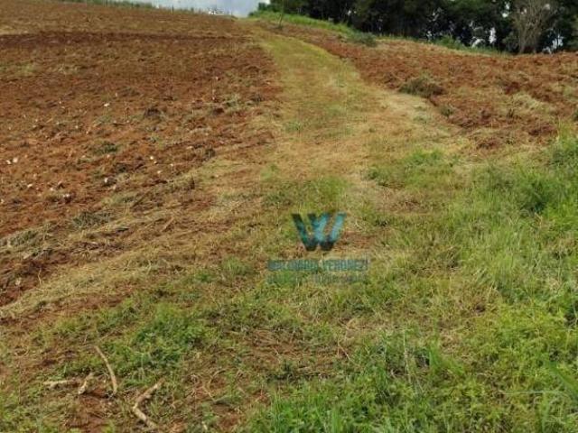 Sítio para venda em Caldas