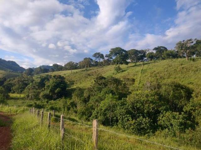 Sítio para Venda em Cambuí, 5 km da cidade
