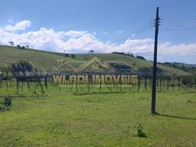 Sítio para Venda em Cambuí, 3 km da rodovia Fernão Dias