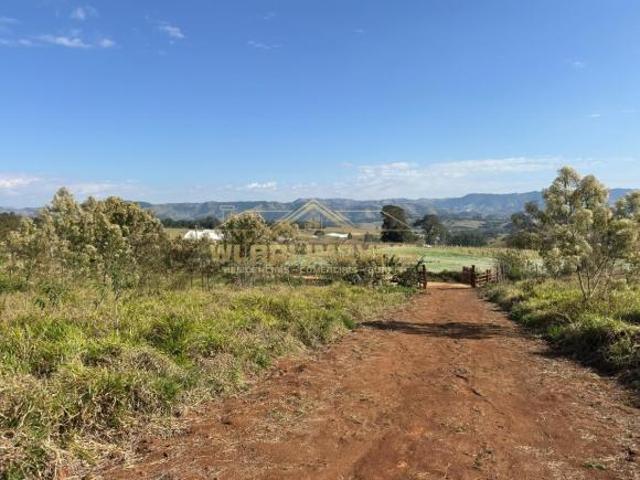 Sítio para Venda em Cambuí, Rural 4km da Rodovia Fernão Dias