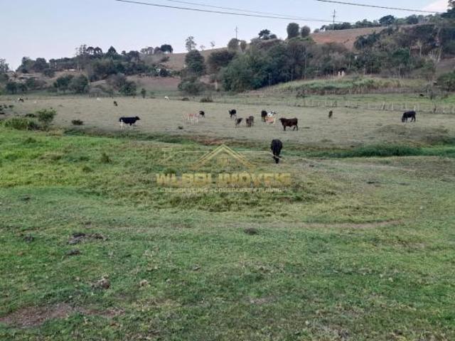 Sítio para Venda em Cambuí, rural