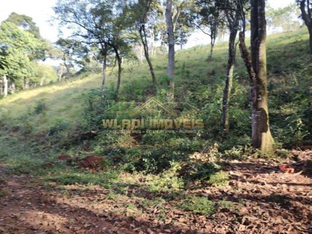 Sítio para Venda em Cambuí, rural