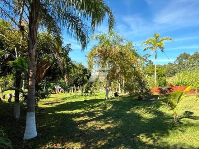 Sítio para venda em Cancelli, Cascavel