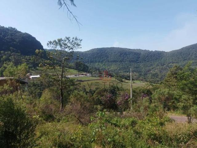 Sítio para venda em Canela