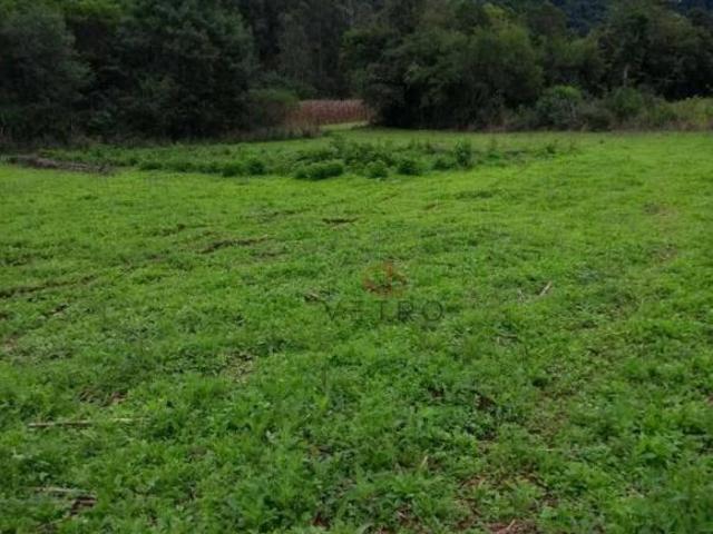 Sítio para venda em Canela