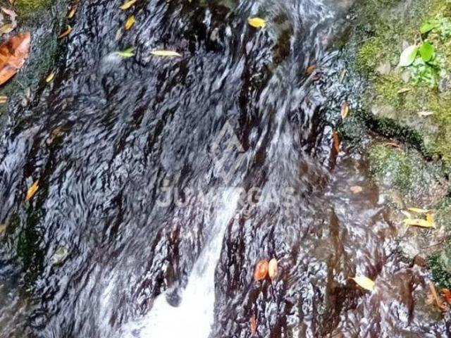 Sítio para venda em Cascata, Pelotas