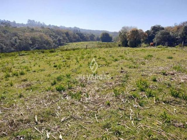 Sítio para venda em Cascata, Pelotas