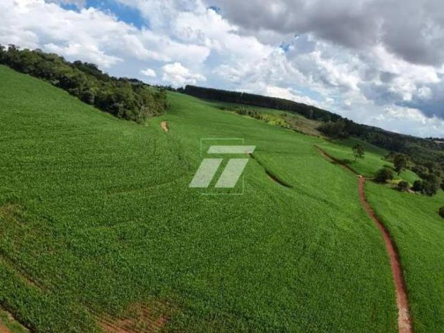 Sítio para venda em Cascavel