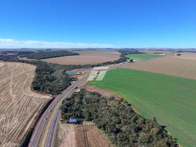 Sítio para venda em Cascavel
