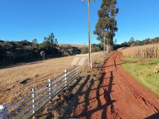 Sítio para venda em Cascavel